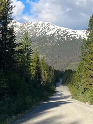 June 17 Update – ISurvivedTheHurley.com